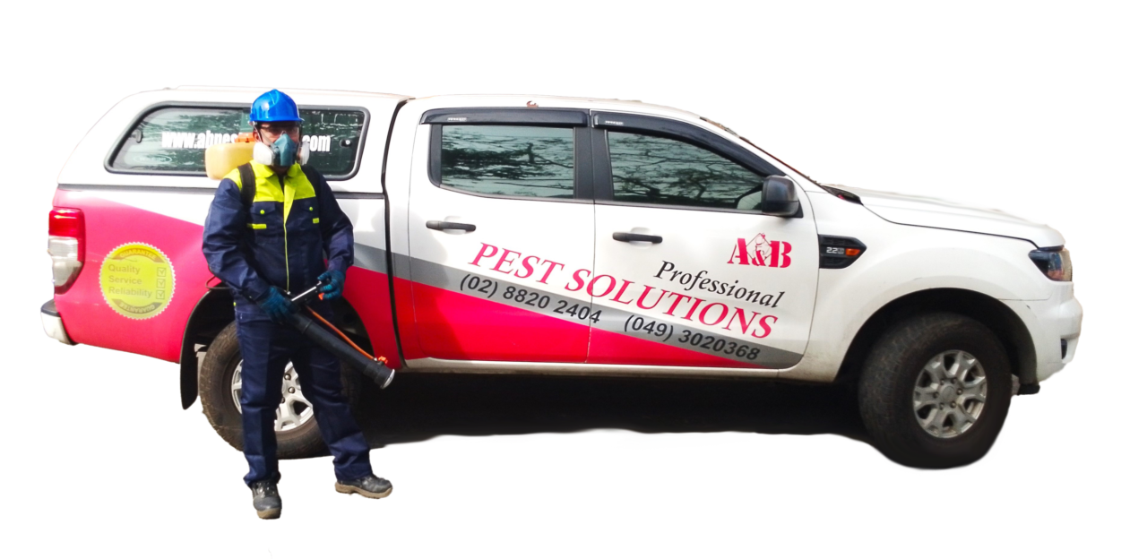 About Us - A&B Pest Solutions